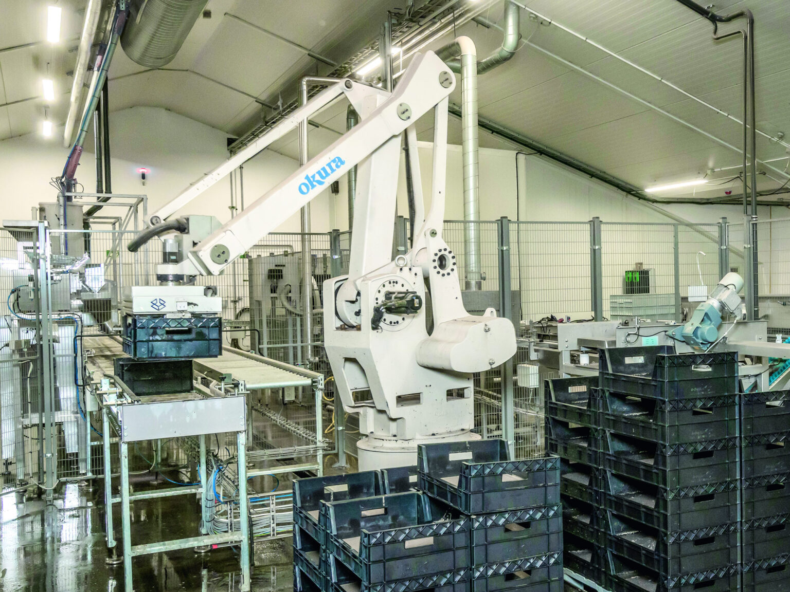 Better Insect Solutions: your perfect partner for insect farming