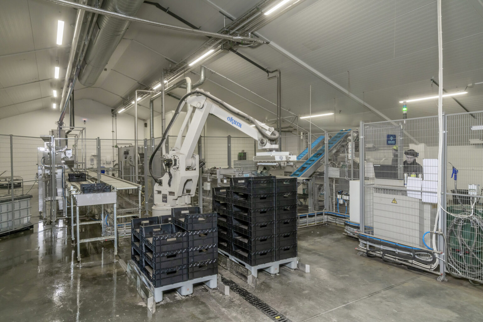Largest insect farm in Northern Europe equipped - Better Insect Solutions