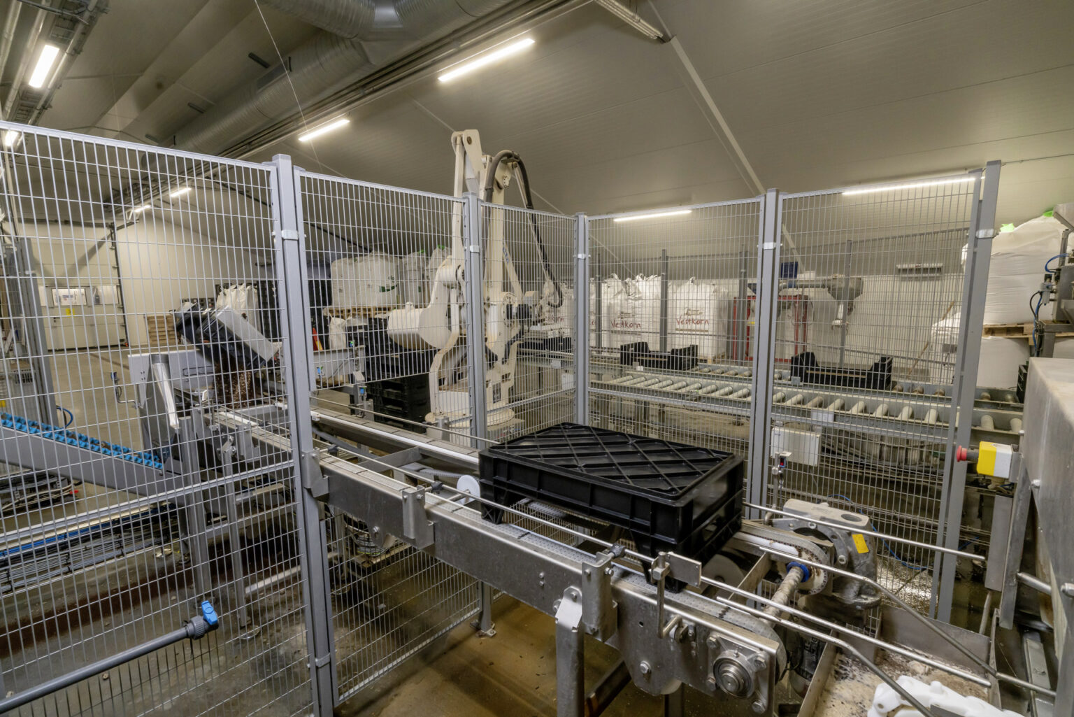 Largest insect farm in Northern Europe equipped - Better Insect Solutions