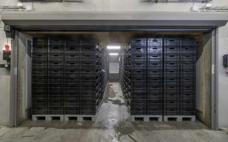 Largest insect farm in Northern Europe equipped - Better Insect Solutions